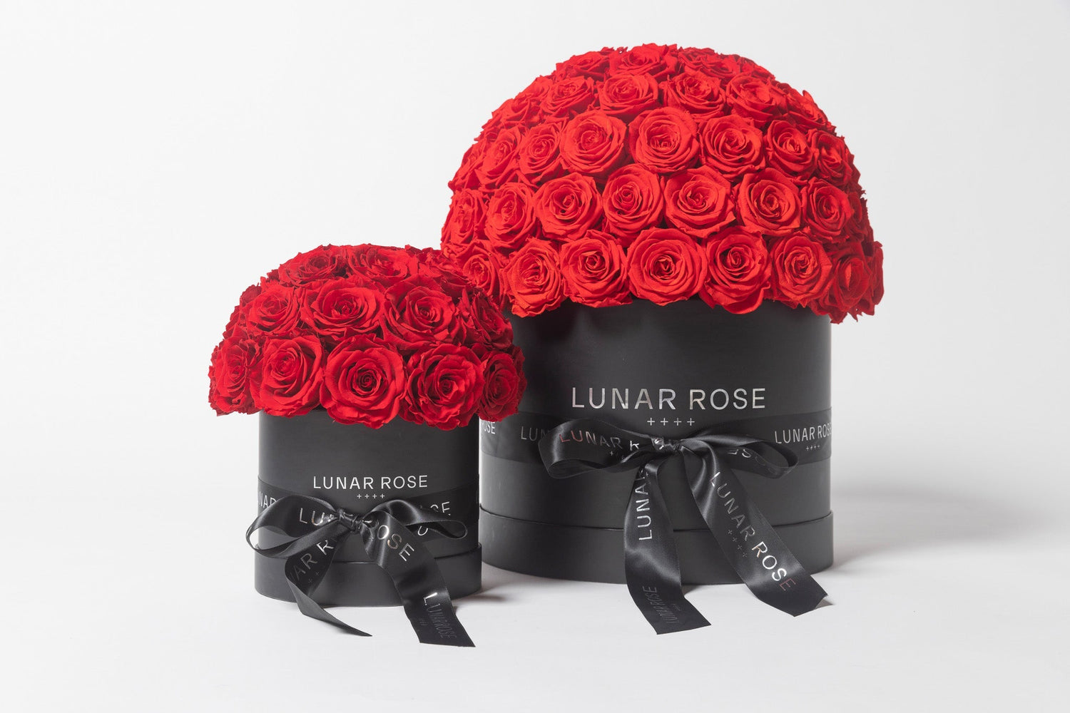 Rose Dome 再入荷のお知らせ ｜LUNAR ROSE